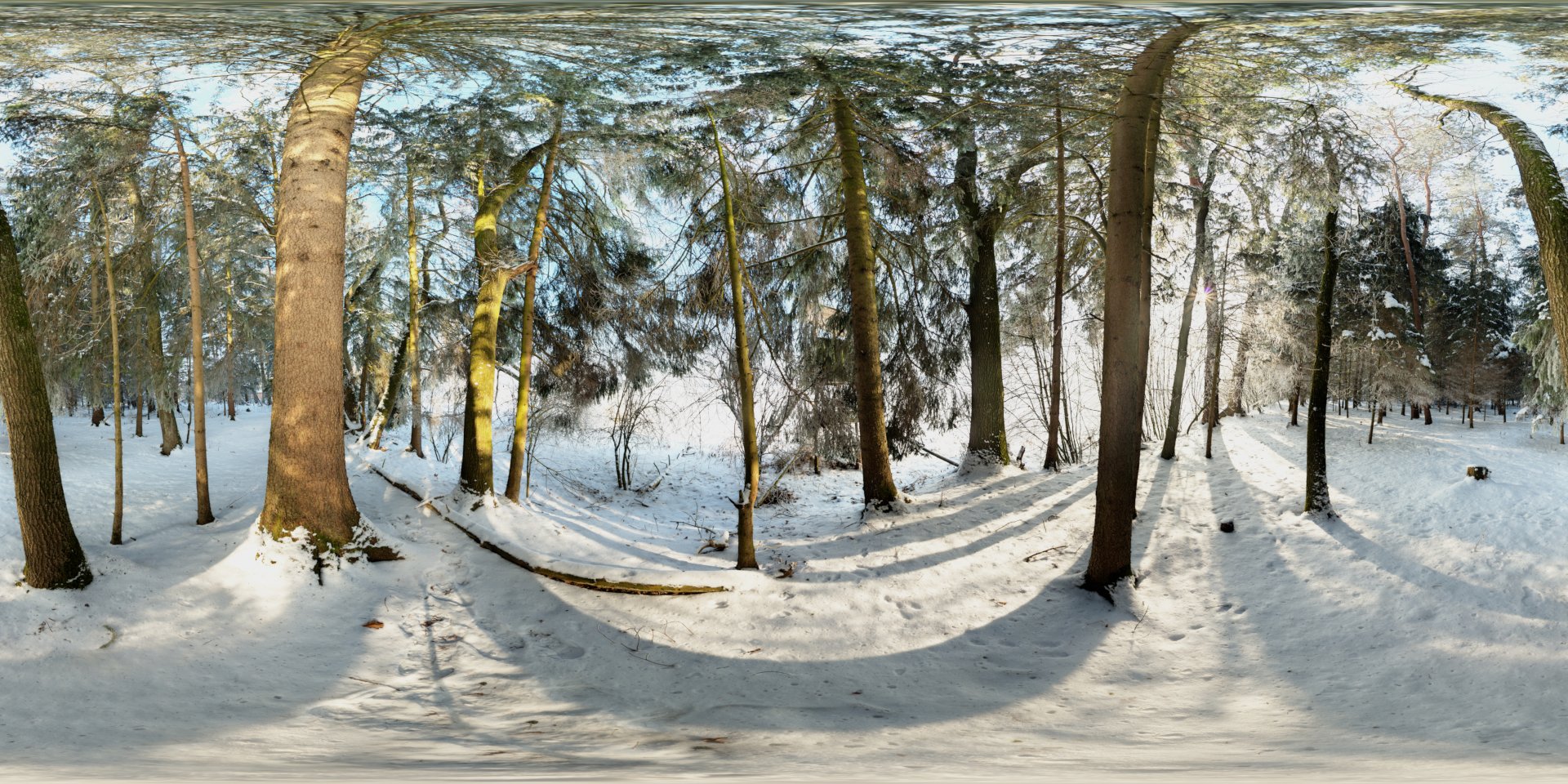 HDRI / 360° snow forrest I, Salzburg Austria | Openfootage