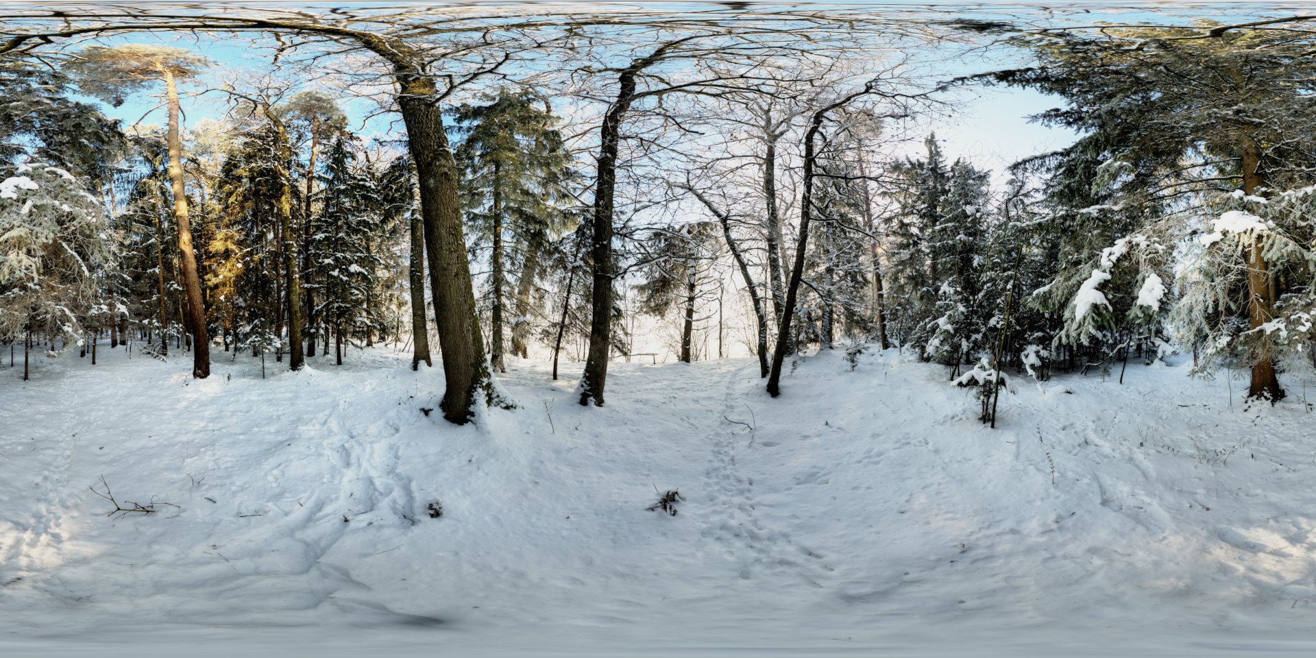 HDRI / 360° snow forrest II, Salzburg Austria | Openfootage