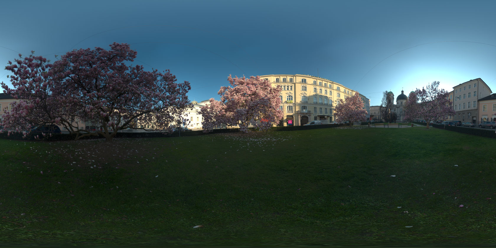 HDRI / 360° magnolia bloom at sunrise | Openfootage