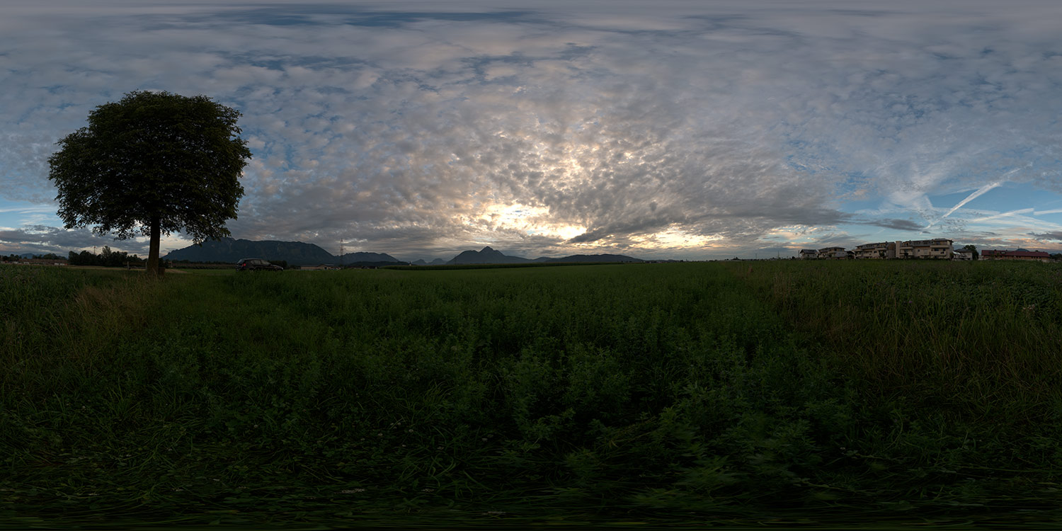 HDRI / 360° field summer sunset | Openfootage