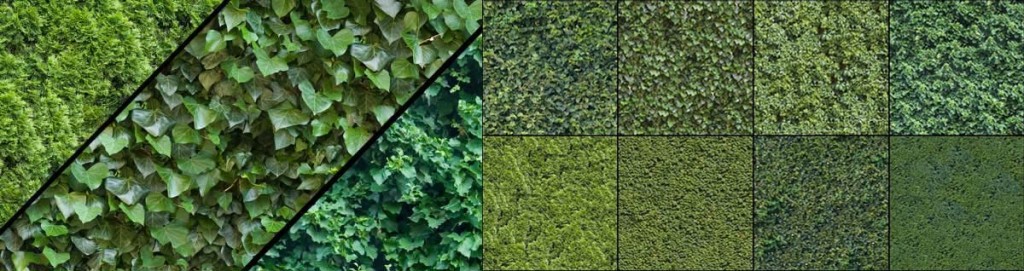 hedge texture pack | Openfootage